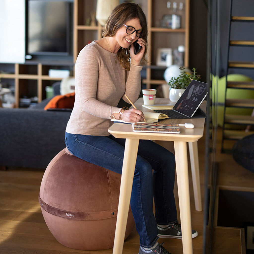 Bloon Velvet French Sitting Ball – Sportique