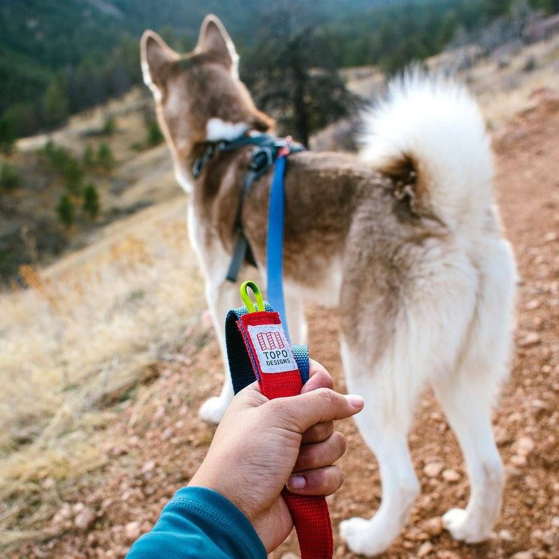 Topo Designs Carabiner Dog Leash Black – Sportique