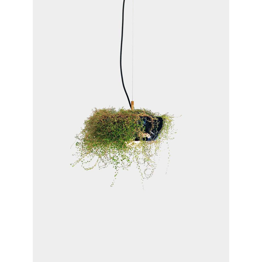Object Interface Well Planter Light Black WPL-B – Sportique