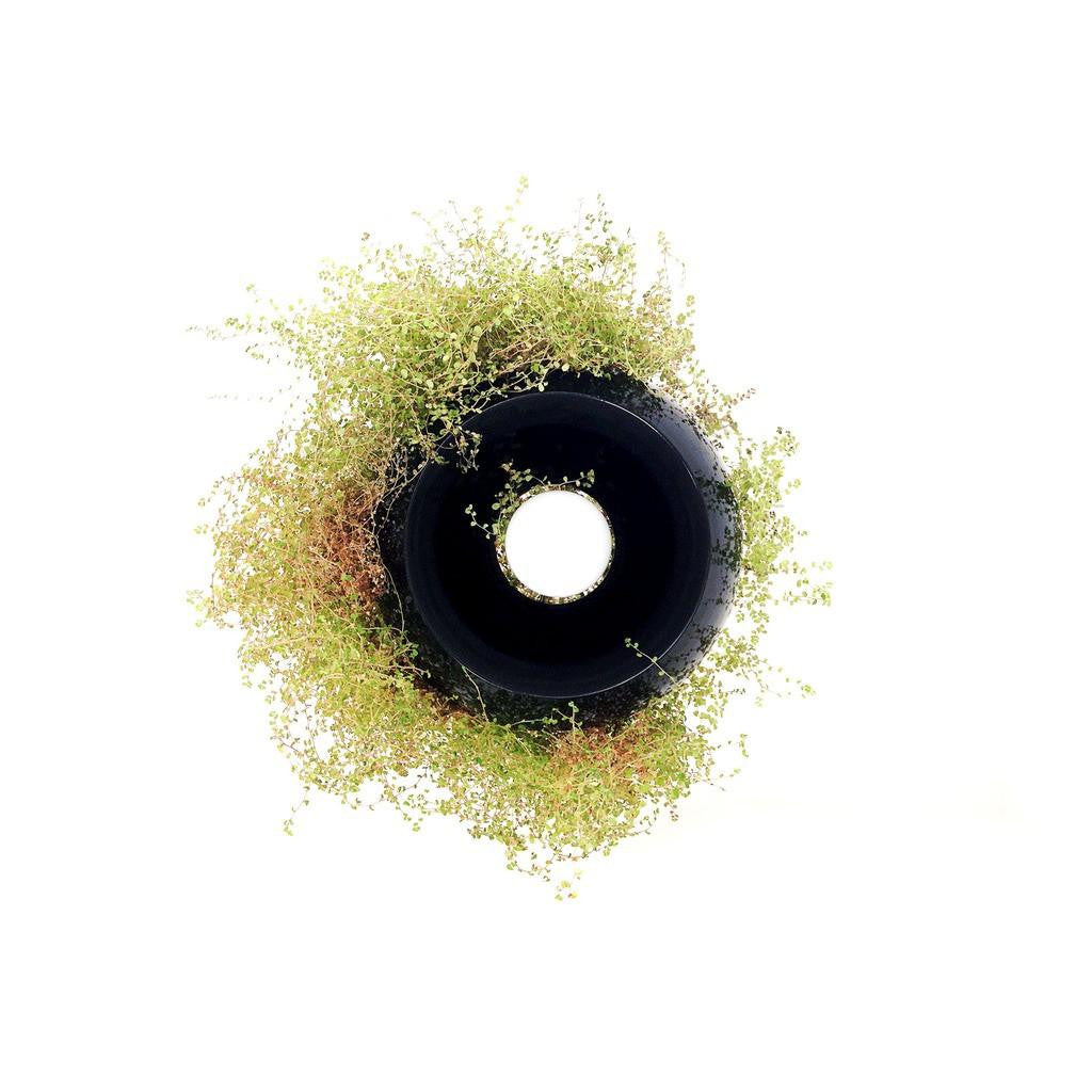 Object Interface Well Planter Light Black WPL-B – Sportique