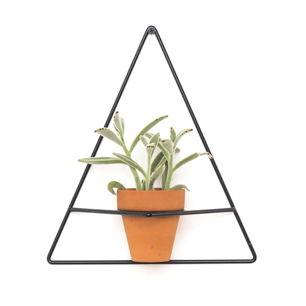 NewMade LA Triangle Wall Planter Black – Sportique