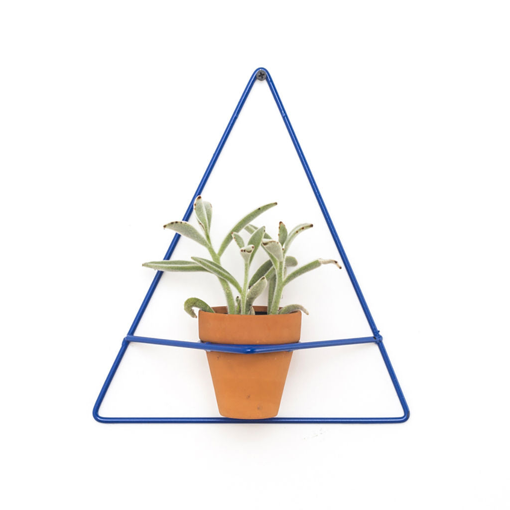 NewMade LA Triangle Wall Planter Blue – Sportique